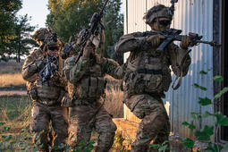 Use of U.S. Department of Defense (DoD) visual information does not ...